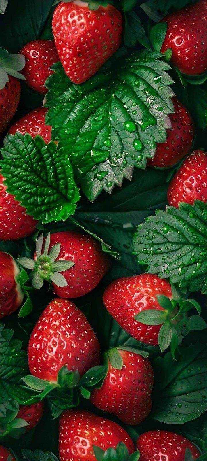 The Way of Fruitfulness – God's Word on That