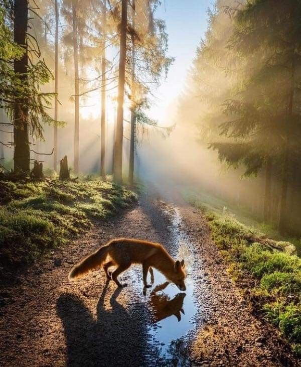 Moses’ Examples of Prayer -Part I – God's Word on That